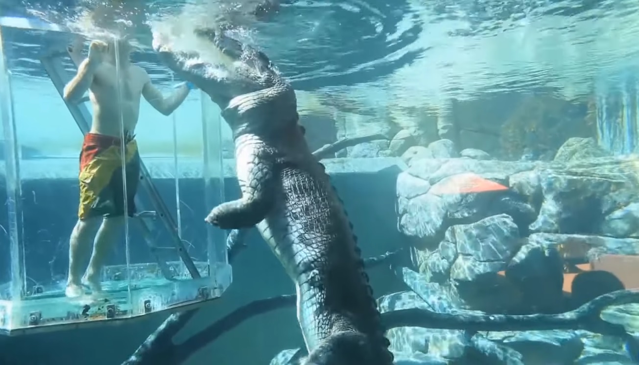 The Complete Guide: Things to Do in Darwin - Where Nature Meets ...